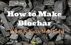 How to Make Biochar [Fast and Easy Guide]